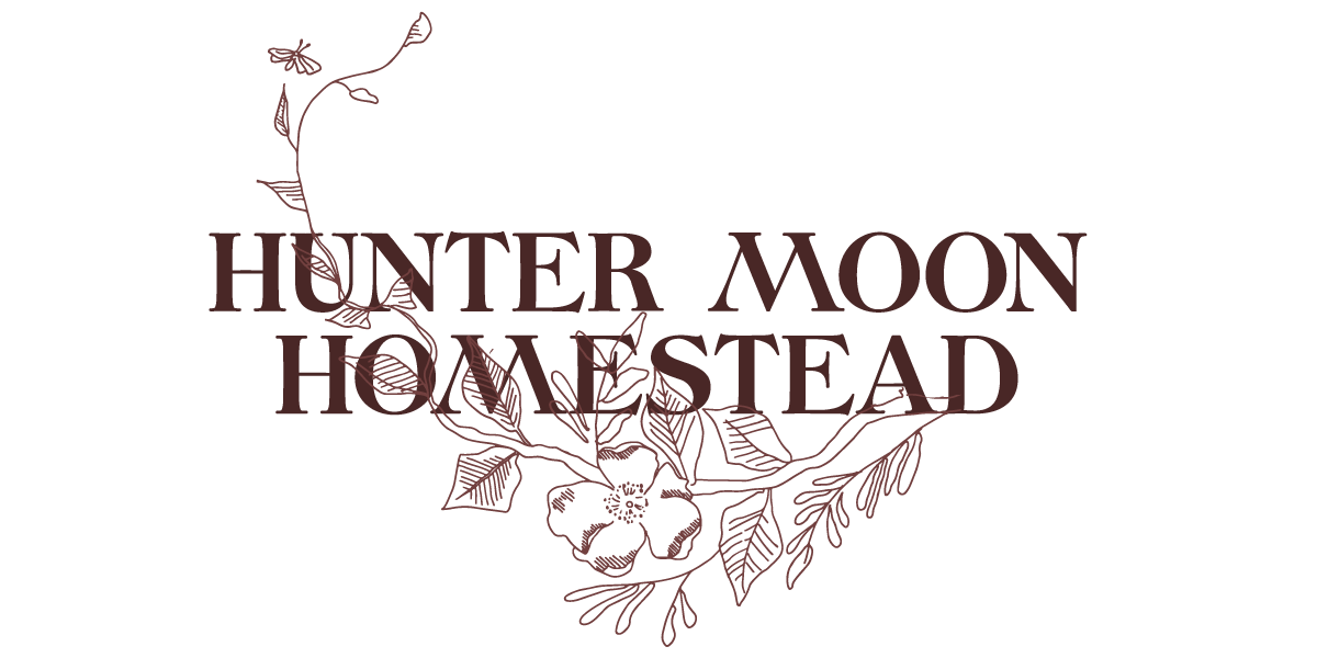 Online Art Workshops & Creative Courses | Hunter Moon Homestead